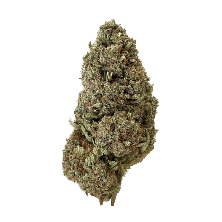 Maison Sativa | CBD Cherbourg | Fleurs, infusions et huiles de CBD
